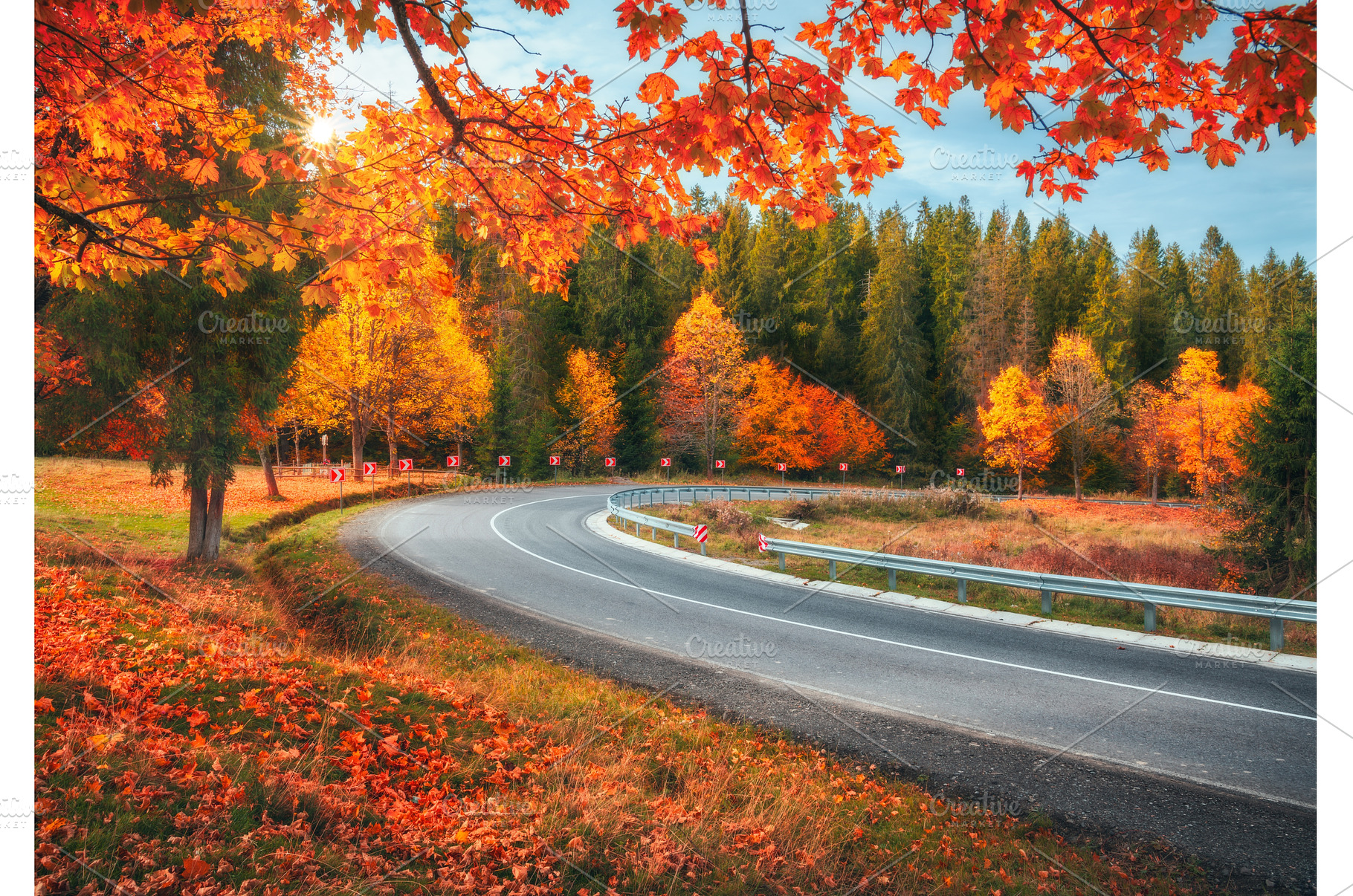 Empty mountain road, trees with red, a Transportation Photo by den-belitsky