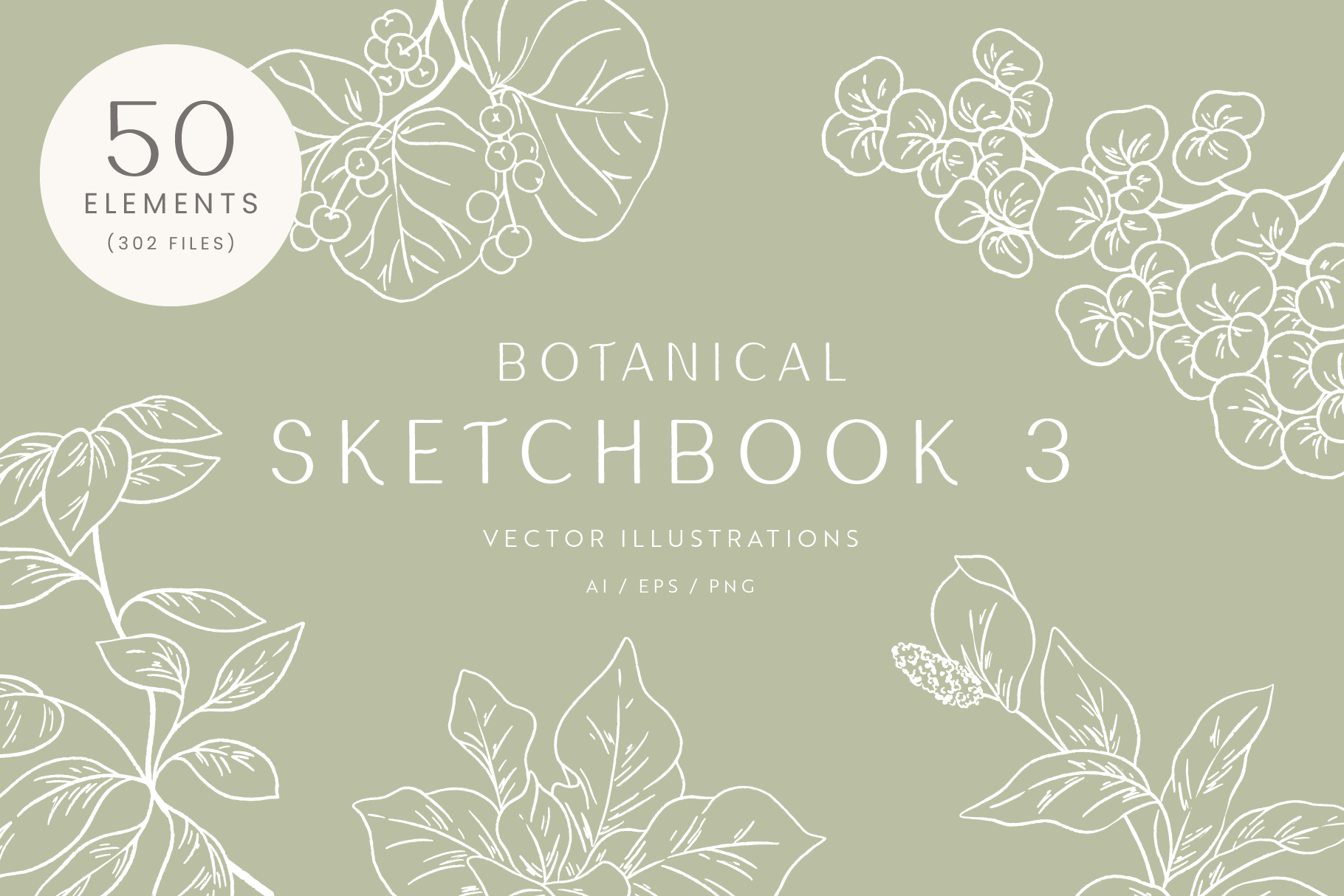 Botanical Vector Illustrations, a Decorative Illustration by Emma Webb ...