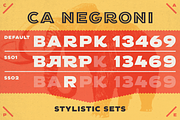 CA Negroni, a Font by Cape Arcona Type Foundry