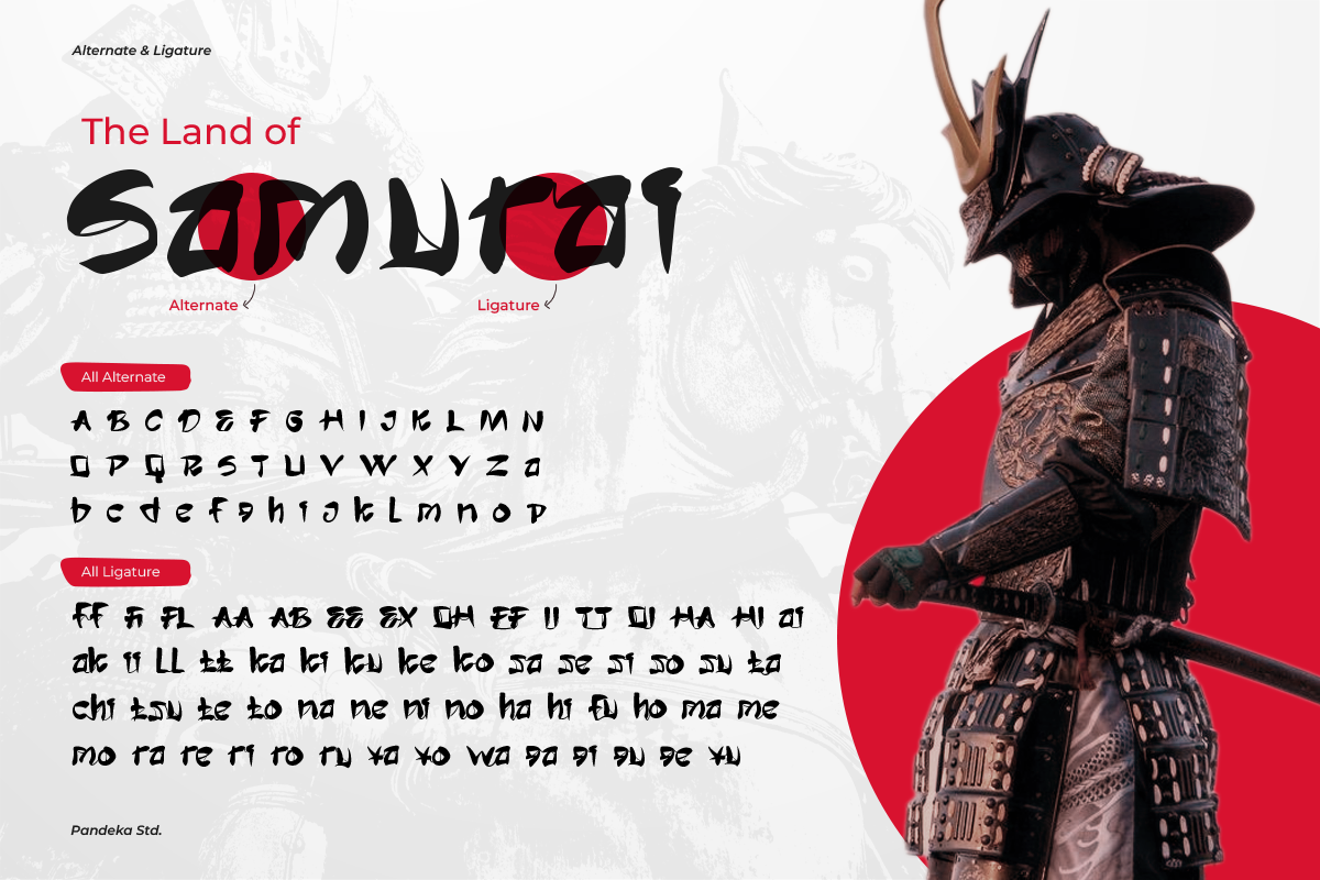 Tanako Gaichi - Japanese Korean Font, a Handwritten Font by Pandeka Studio