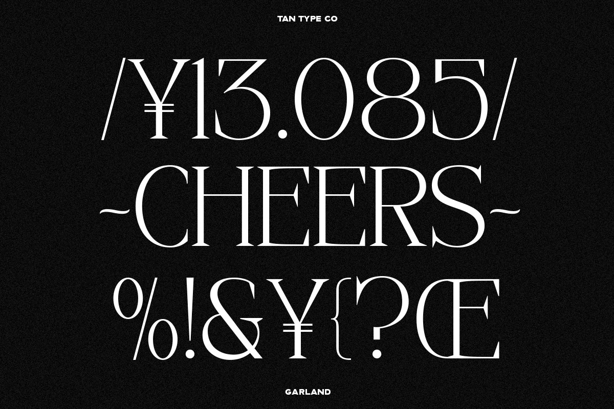 TAN - GARLAND, a Serif Font by TanType