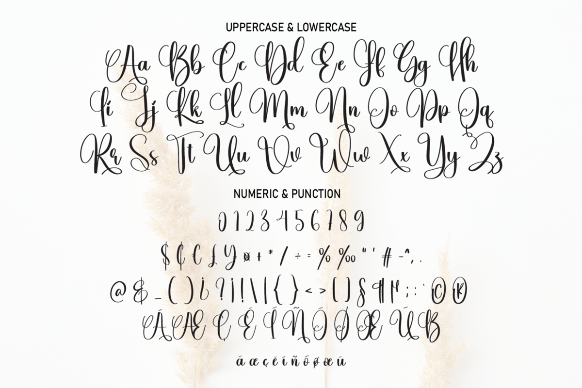 Beneficial | Script Font, a Script Font by Scratchones
