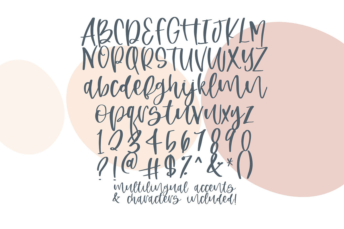 AppleBerry Script Font, a Script Font by Dansie Design