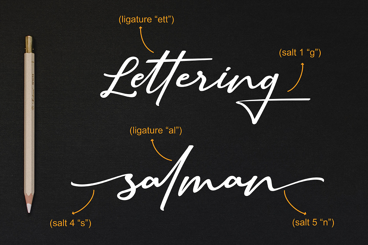 Sallim | Signature Font, a Script Font by Beautypes