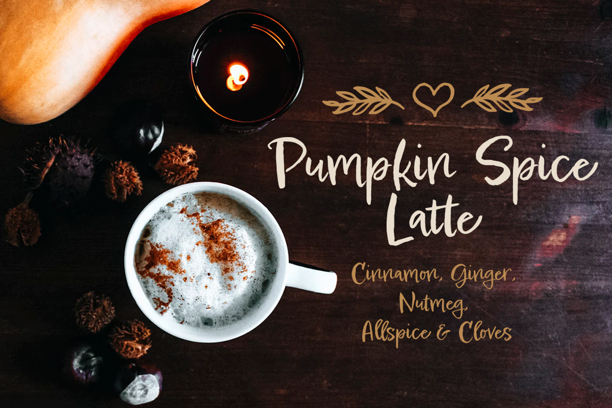 Epicursive Script & Dingbats, a Script Font by KLUGE+CO