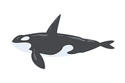Orca Killer Whale Marine Mammal, an Animal Illustration by TopVectors