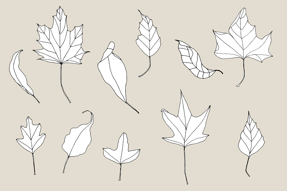 Fall Leaves Seamless Patterns, a Pattern Graphic by Youandigraphics