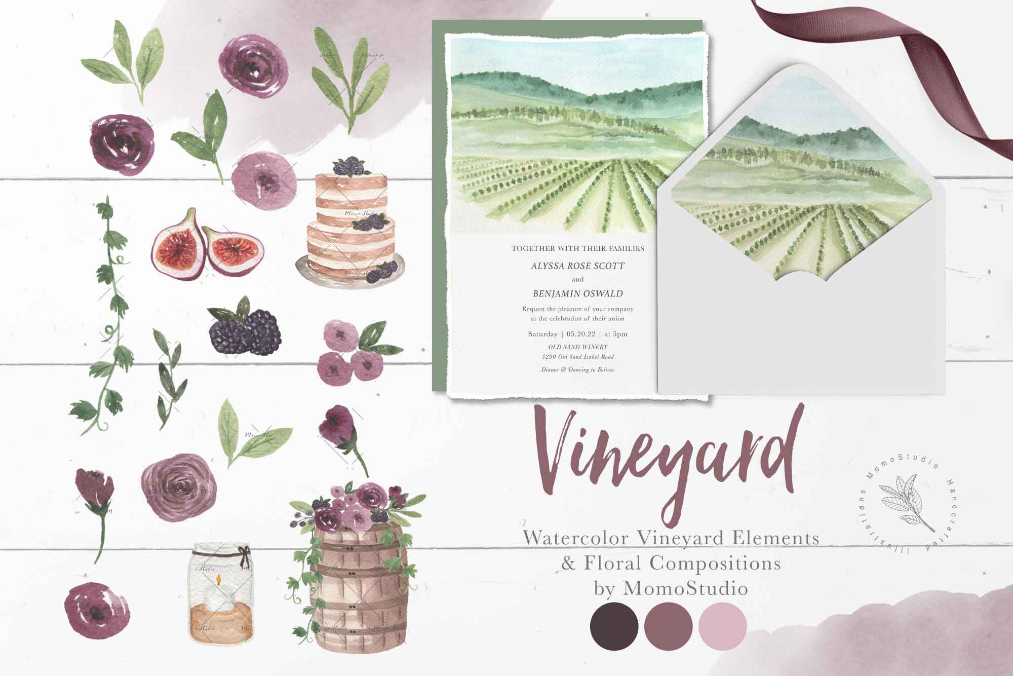 Watercolor Vineyard Elements, an Illustration by Momo Studio