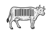 cow with barcode sketch vector