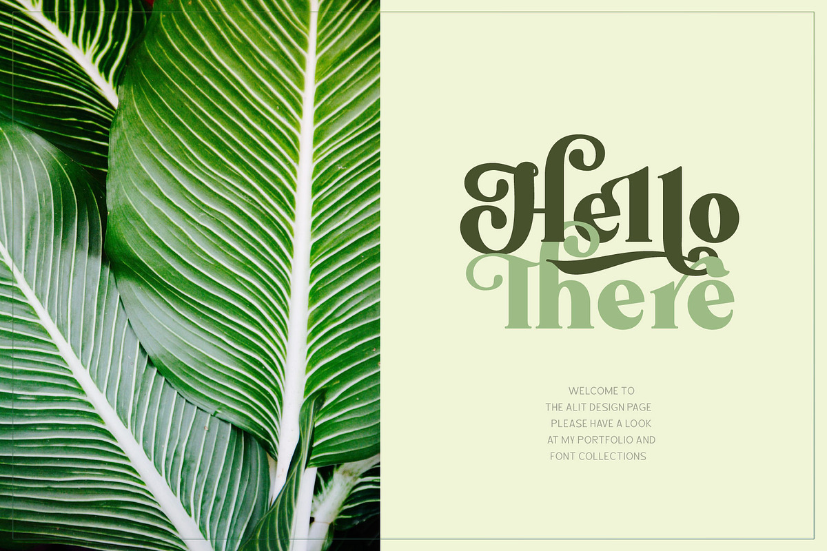 Mollas Typeface, a Serif Font by alit design