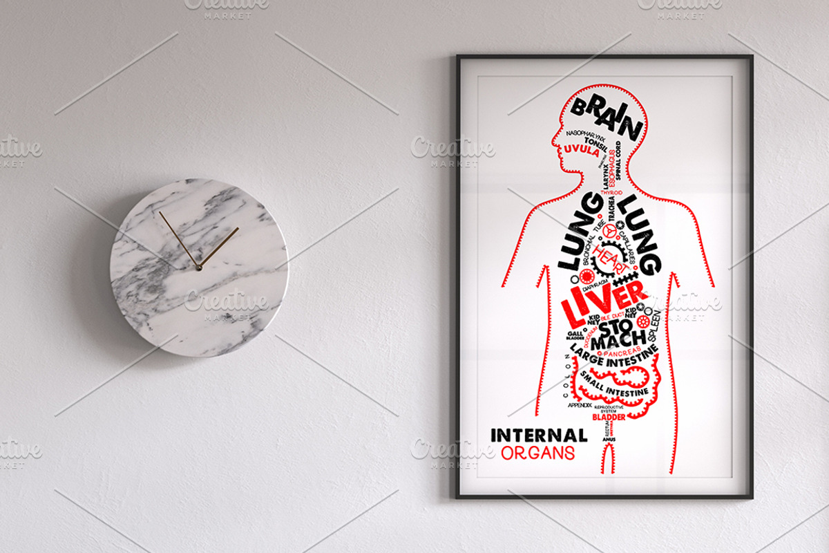 Human Anatomy Posters, an Education Illustration by Moloko88