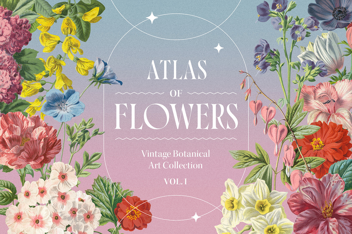 Atlas of Flowers - Botanical Art Set, an Object Graphic by Graphic Goods