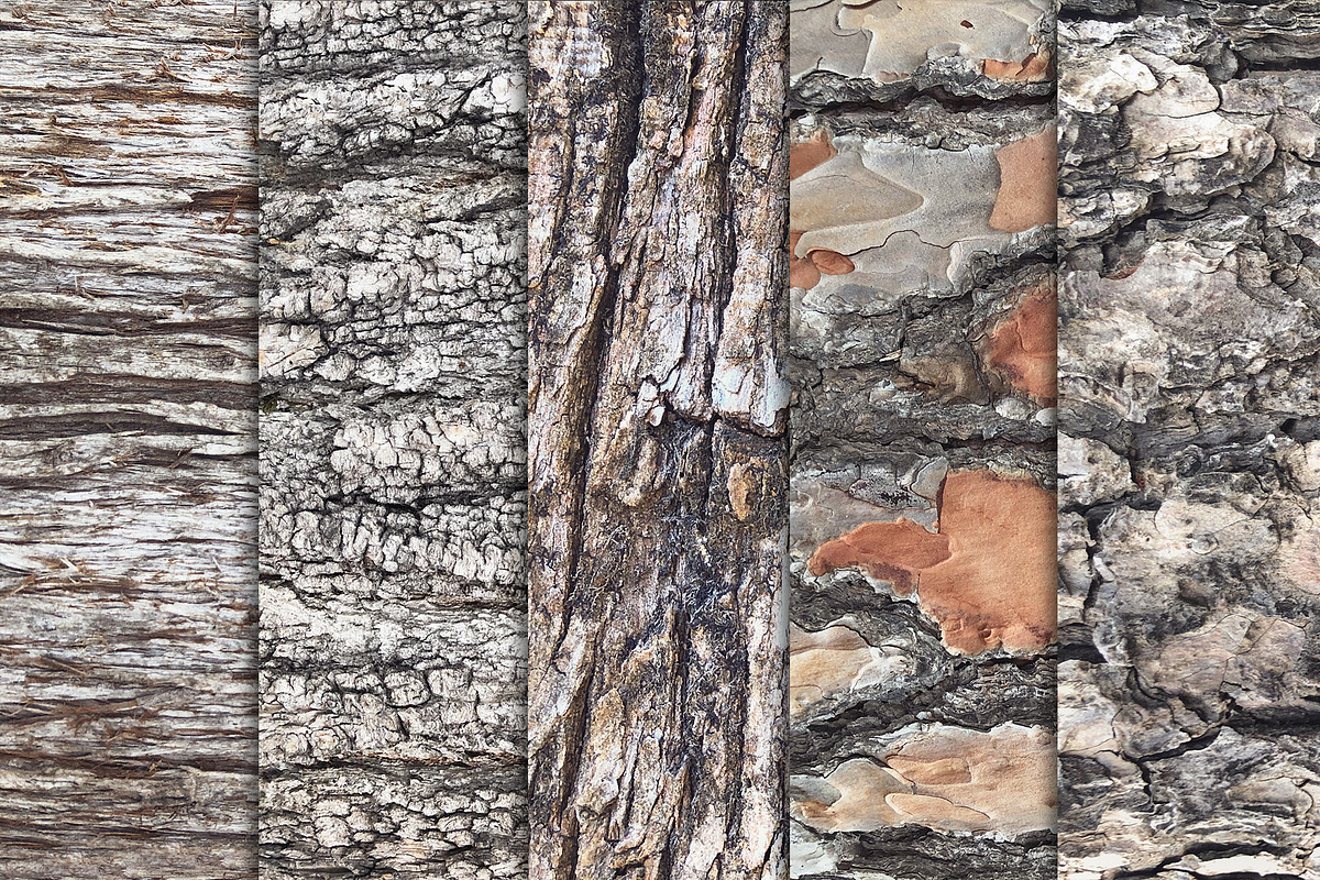 Tree Bark Textures Vol 2 x10, a Texture Graphic by SmartDesigns