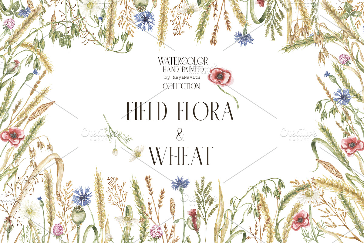Watercolor Wheat & Field Flora, an Illustration by MayaNavits