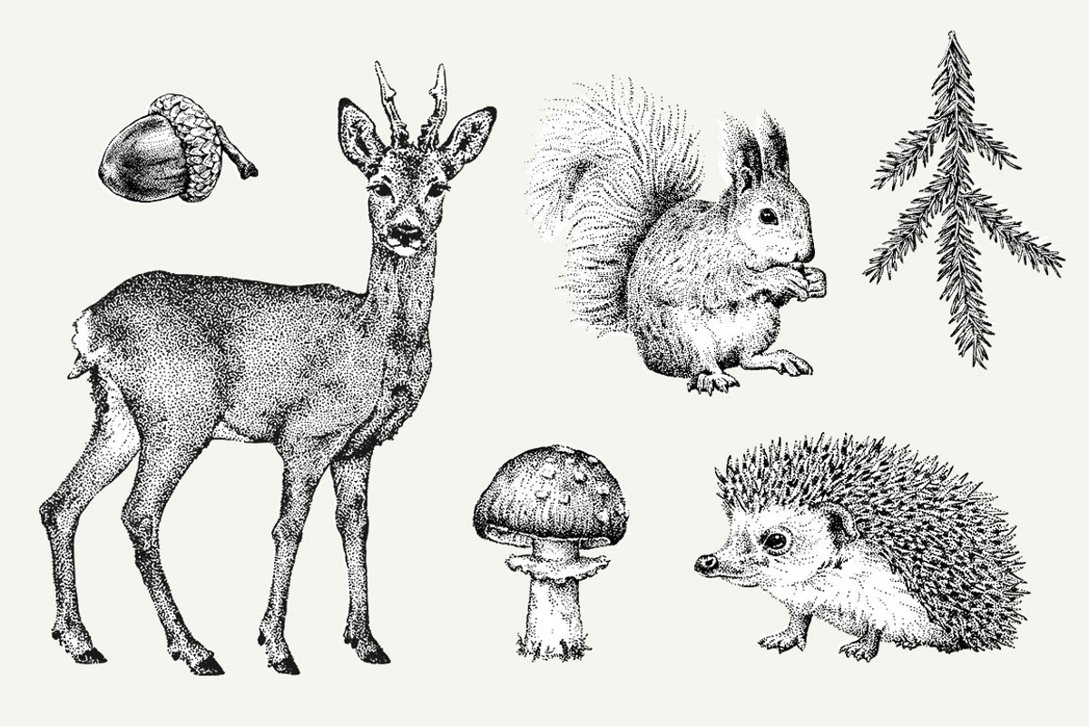 Dotwork Forest Animals, an Animal Illustration by nordicworker ...