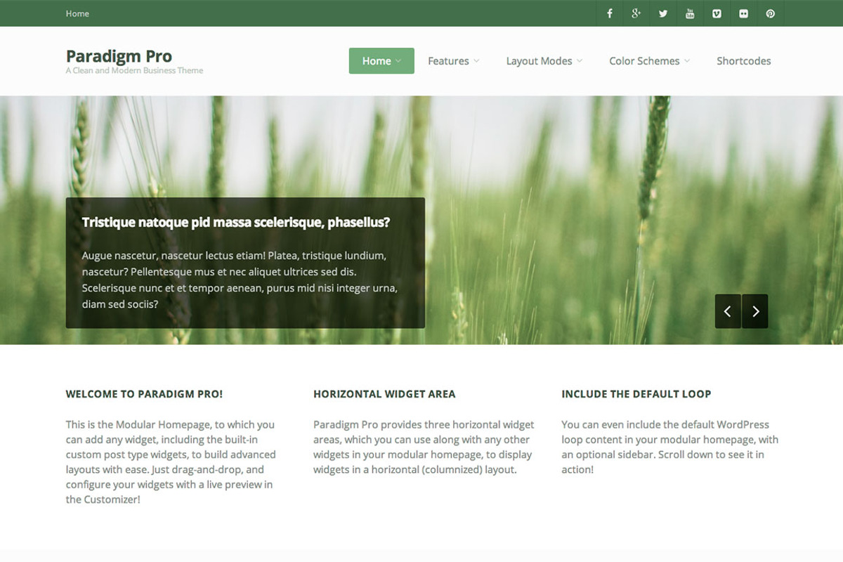 Paradigm Pro: Modern Business Theme, a WordPress Template by wpCMSdev