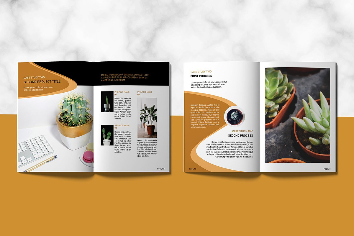 Case Study Brochure Template
