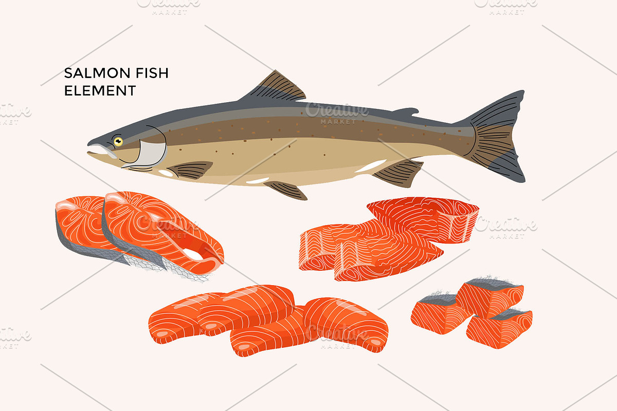 Salmon Fish, a Decorative Illustration by bungamustia | Creative Market