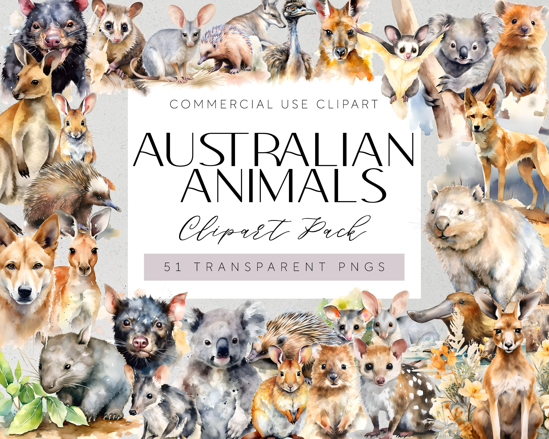 Bulk Australian Animals Clipart PNG, an Animal Illustration by Pawcasso ...