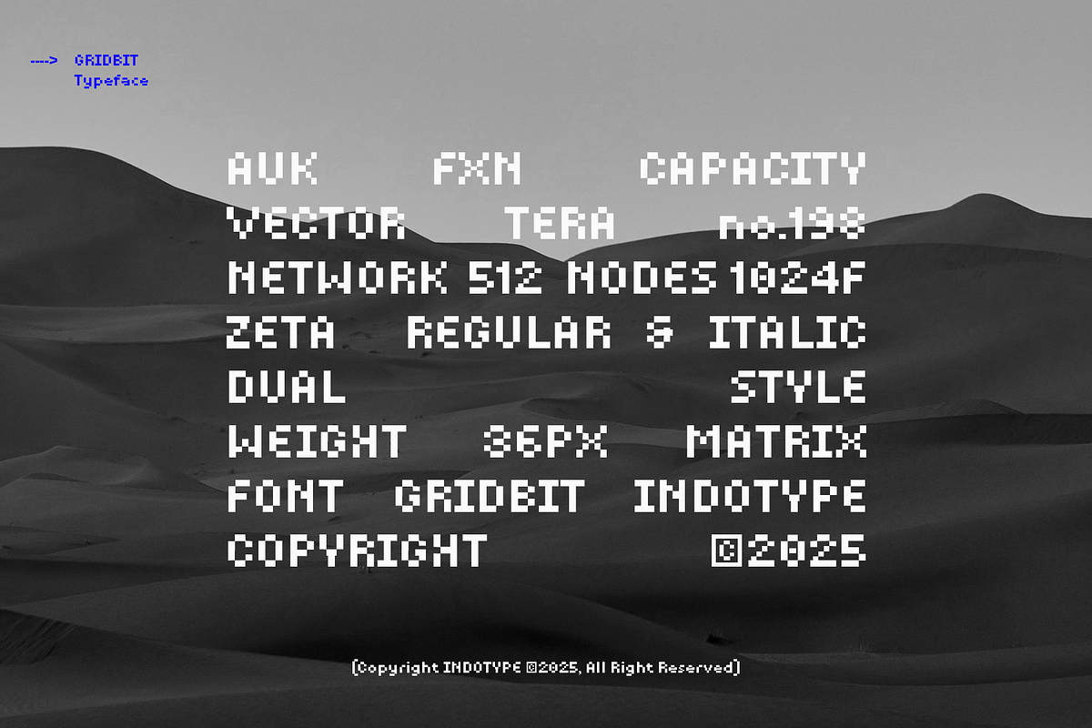 Gridbit - Bitmap Pixel Font, a Symbol Font by Indotype Foundry