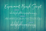 Experiment Brush Script, a Script Font by Dhan Studio | Creative Market