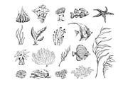Set of coral reef elements in | Animal Illustrations ~ Creative Market