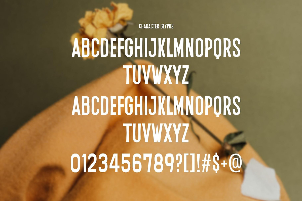 Monkeys Sans Font by Graphicxell
