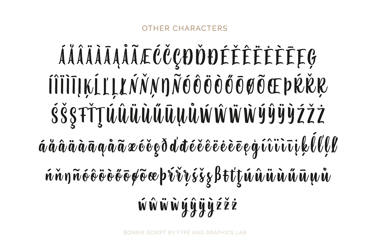 Bonnie Script, a Script Font by Type and Graphics Studio