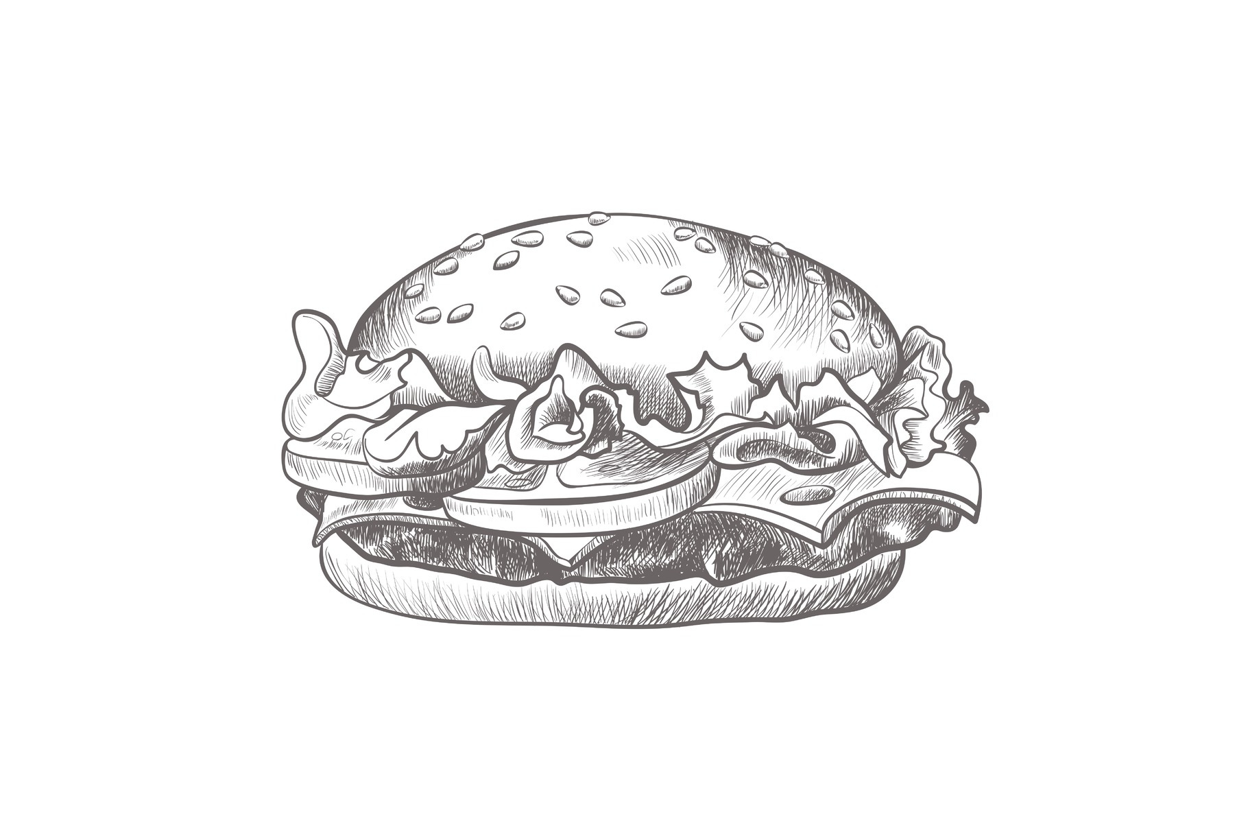 Burger black and white realistic sketch isolated illustration, a Food ...