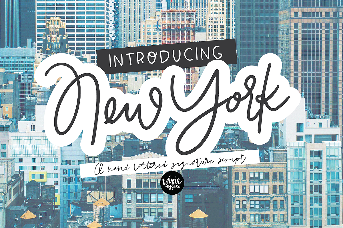 NEW YORK a Signature Script Font, a Script Font by Blush Font Co.
