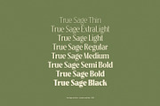 True Sage - Decorative Serif Family, a Font by creativemedialab ...
