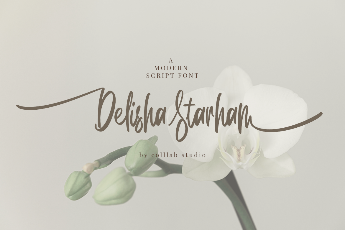 Delisha Starham | A Script Font | Script Fonts ~ Creative Market