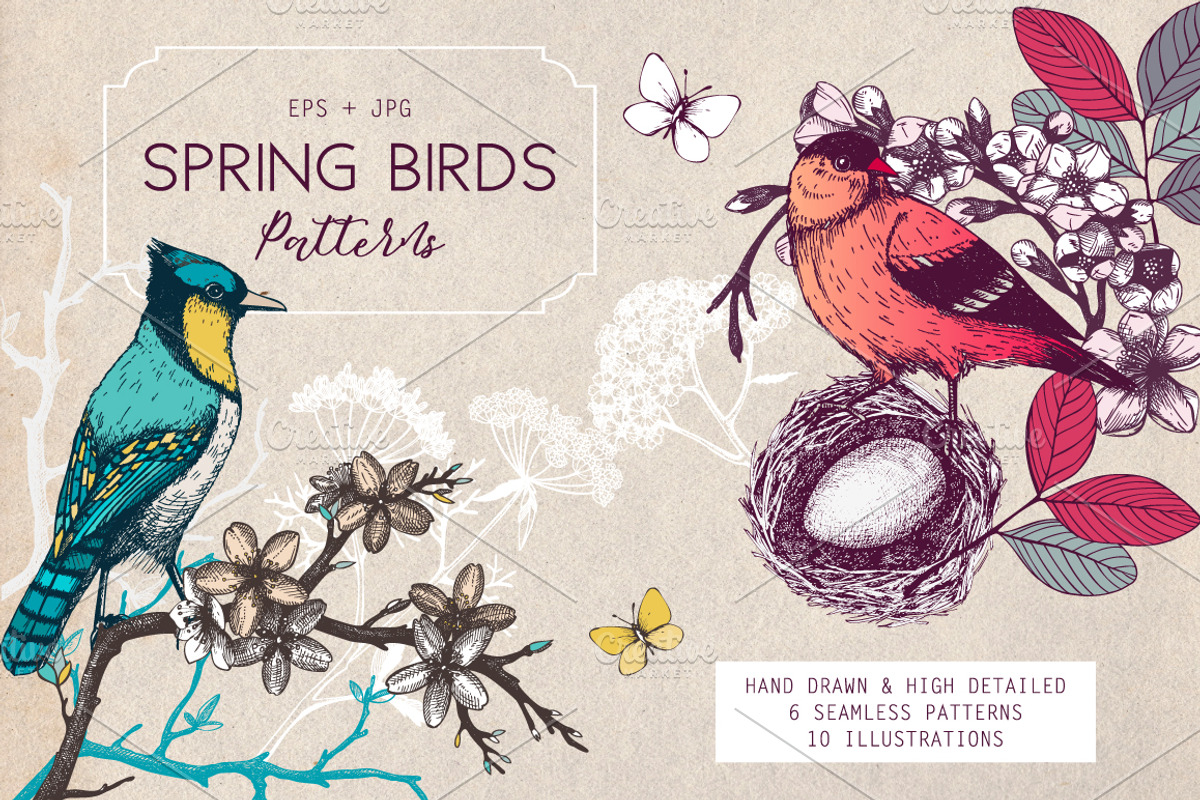 Spring Birds Patterns Collection, an Animal Illustration by Yevheniia
