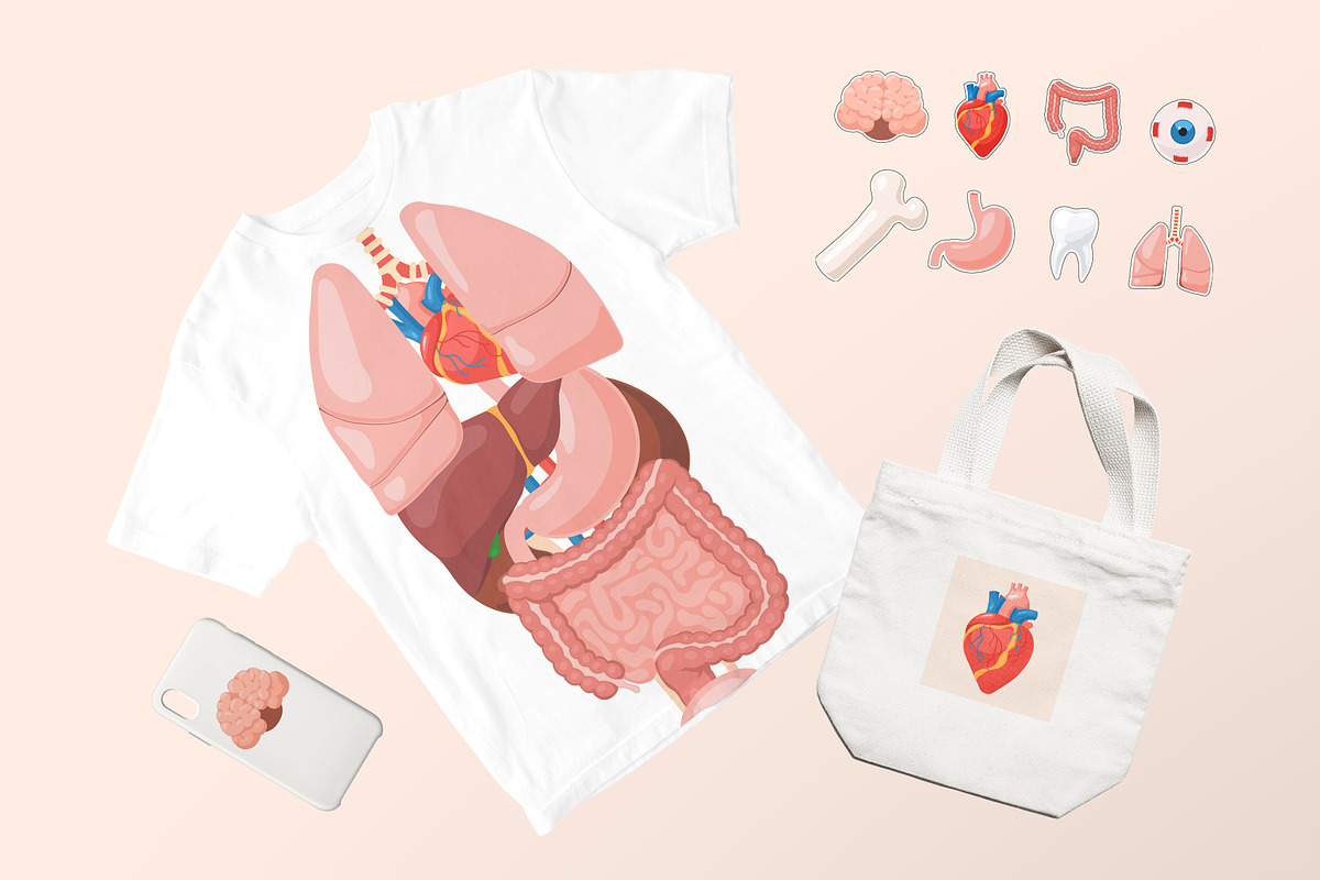 Human Organs Set, a Background Graphic by EgudinKa