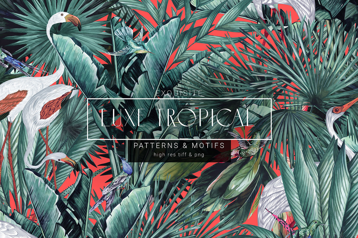 Luxe Tropical Design, a Pattern Graphic by TSTUDIO
