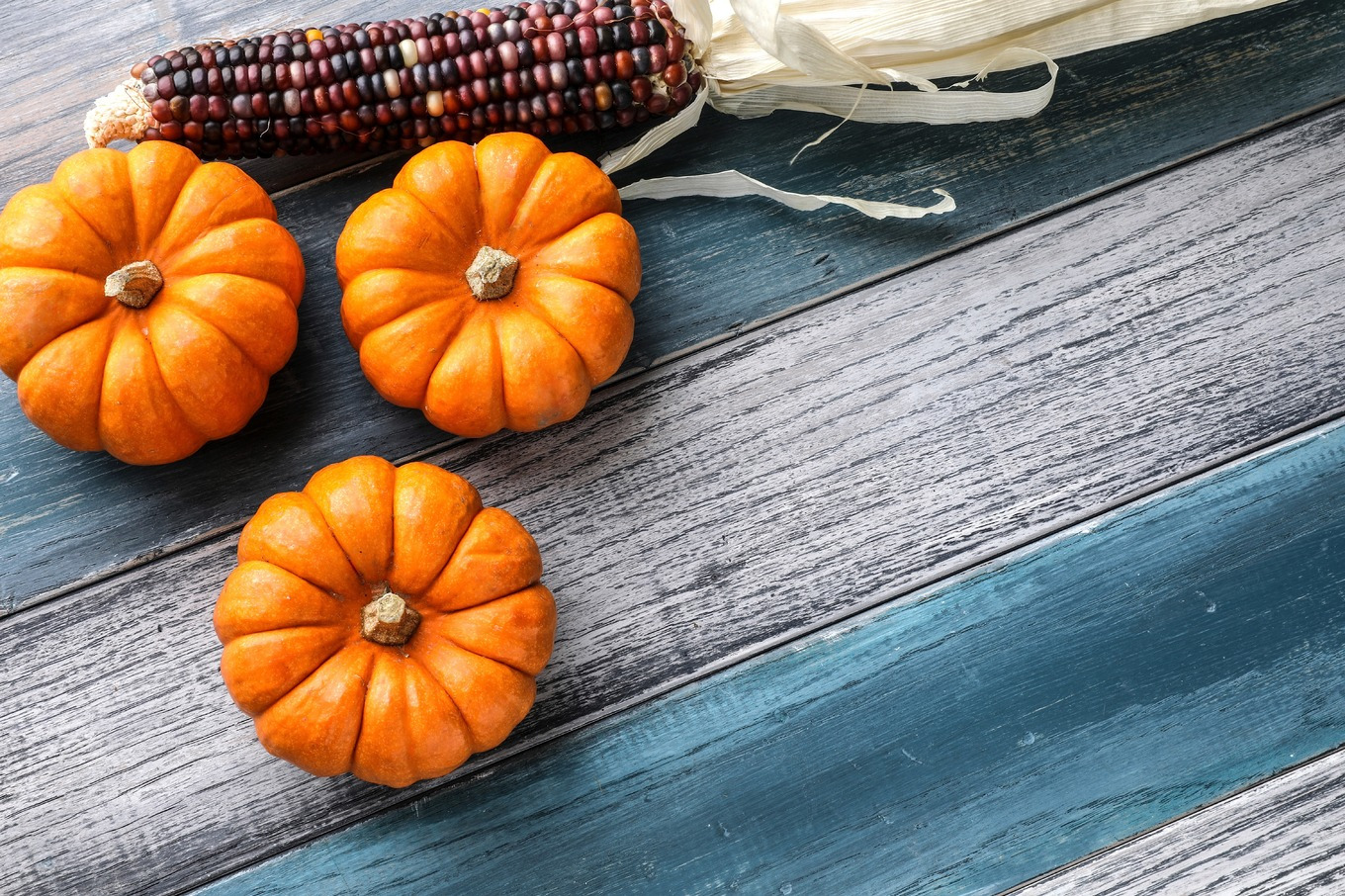 Pumpkin at local market containing small, autumn, and november, a ...