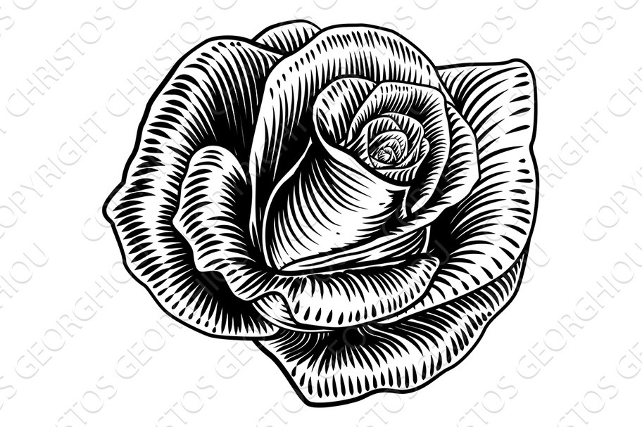 Rose Flower Woodcut Etching Style, an Illustration by Christos Georghiou