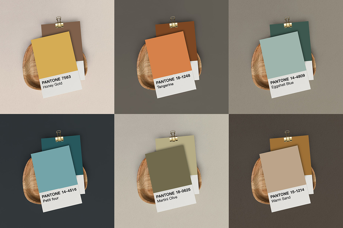 Pantone Color Cards Branding Mockup