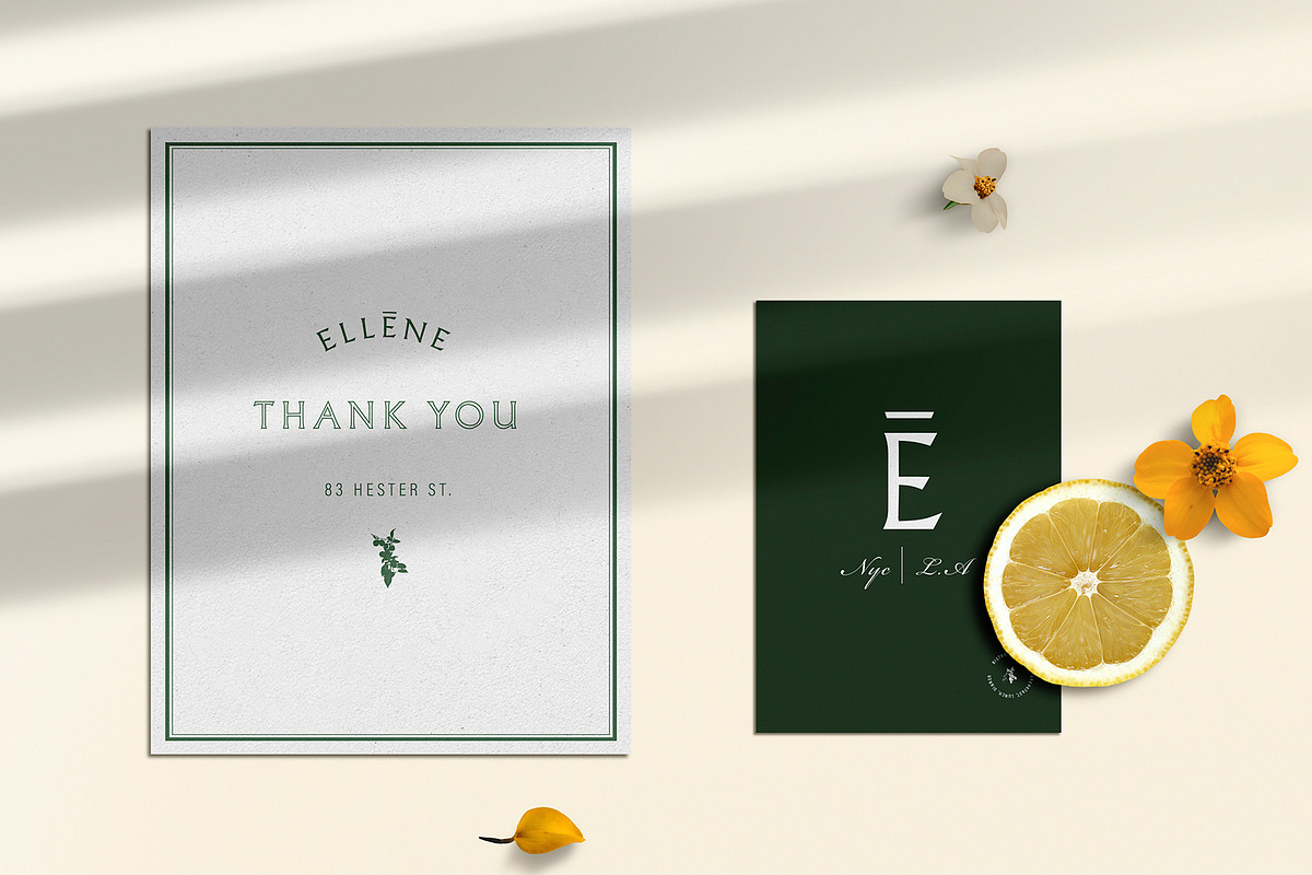 Multi-brand logo bundle, a Branding & Logo Template by MONIIT STUDIO ...