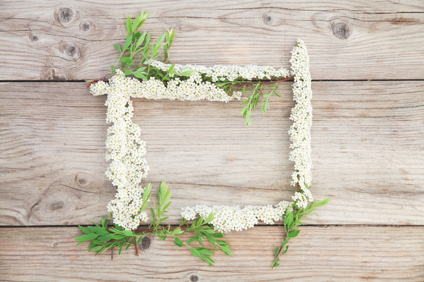 Spring flowers frame featuring frame, flowers frame, and wood ...