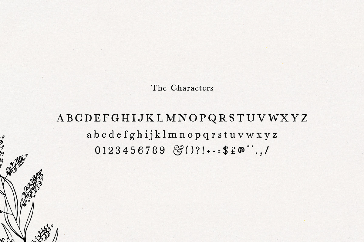 Alchemist Serif Font, a Serif Font by Salt & Pepper Designs