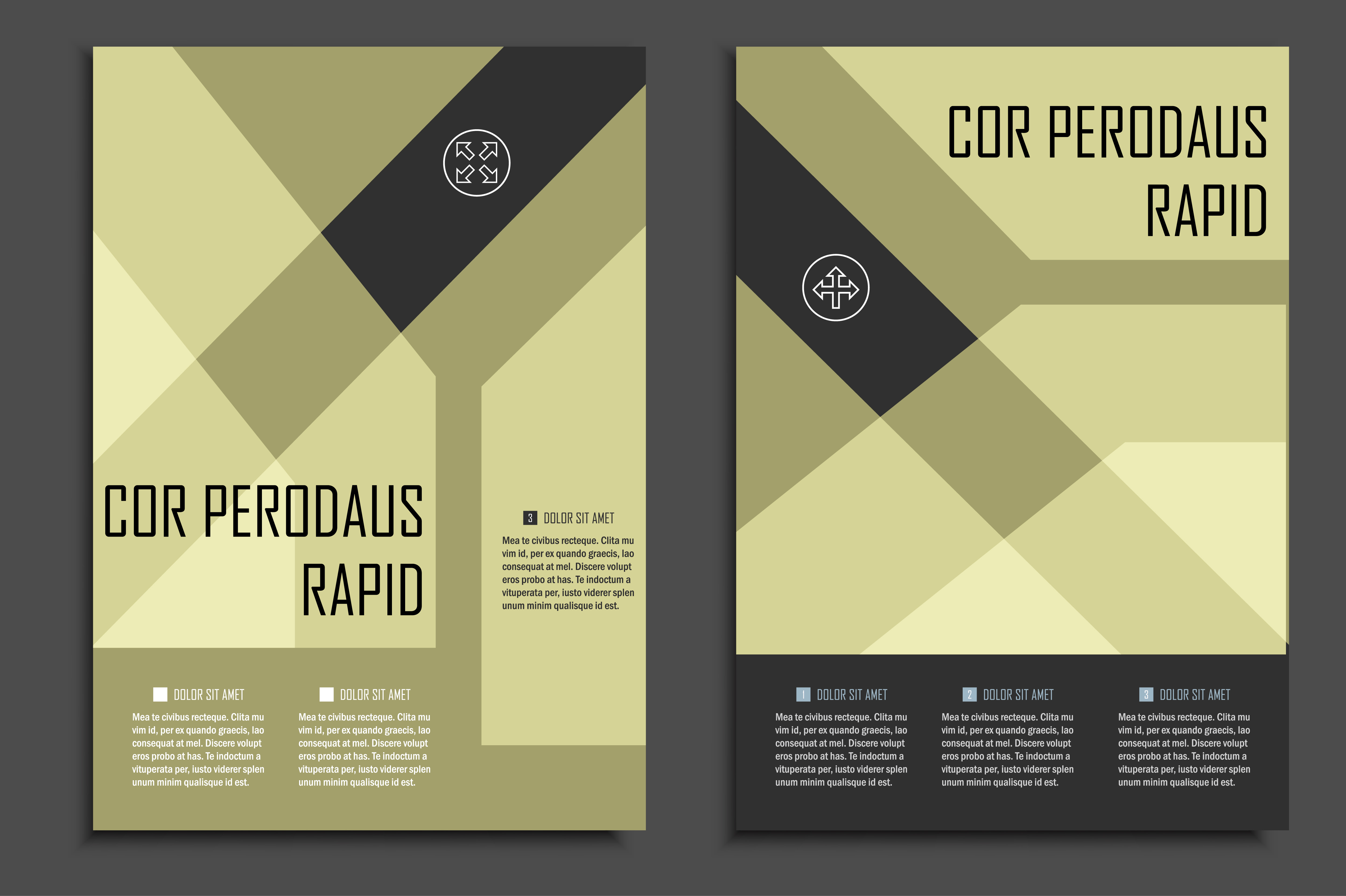 Geometric brochure design. Vol.1, a Magazine Template by Haisonok