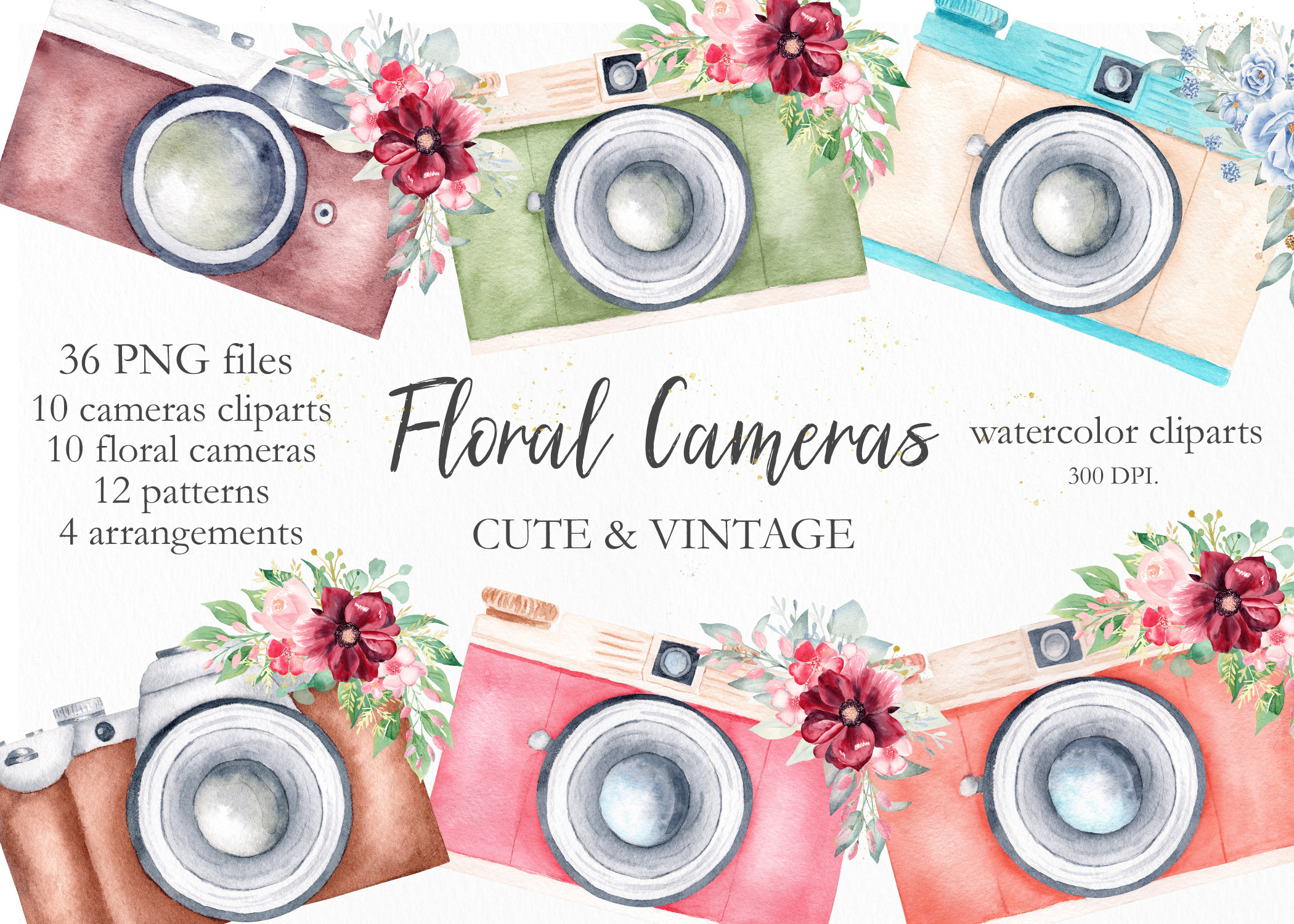 Watercolor Vintage Cameras Set, a Decorative Illustration by ...