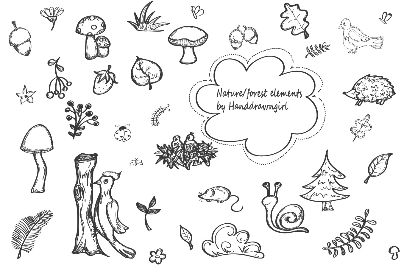 Nature/forest hand drawn elements, an Object Graphic by handdrawngirl