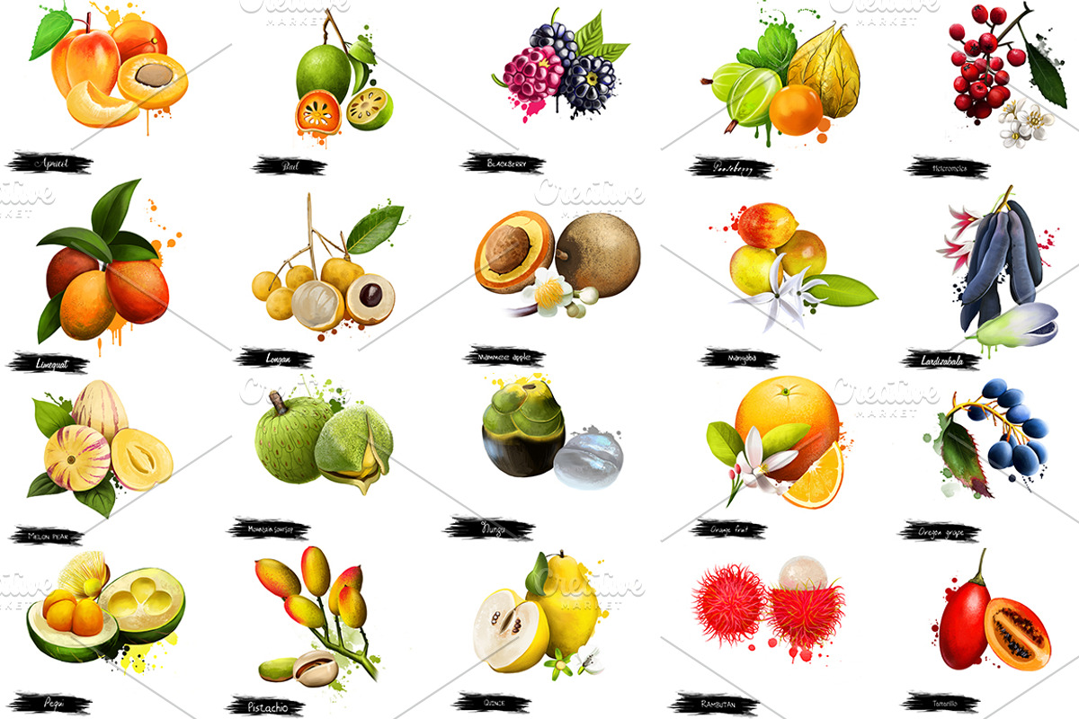 Fruits digital collection. Set 4, a Food Illustration by Dneprstock