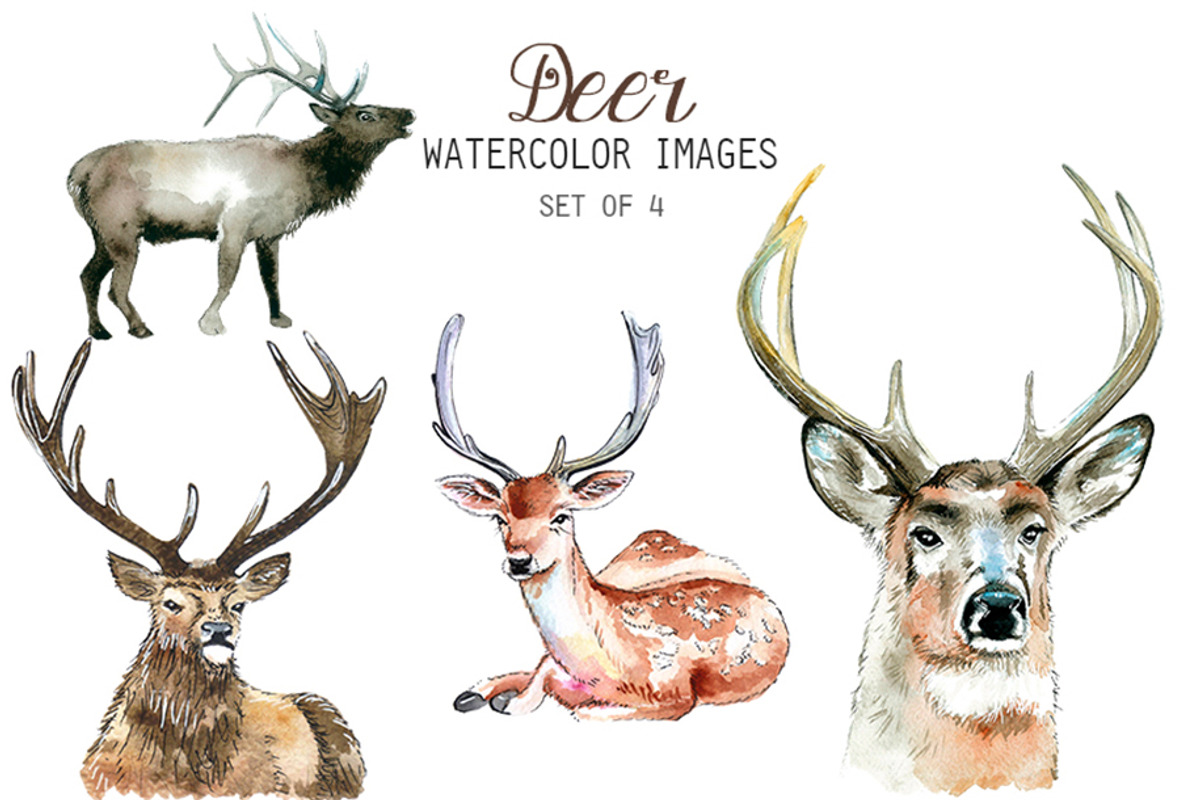 Watercolor Deer Clipart, an Animal Illustration by YesFoxy