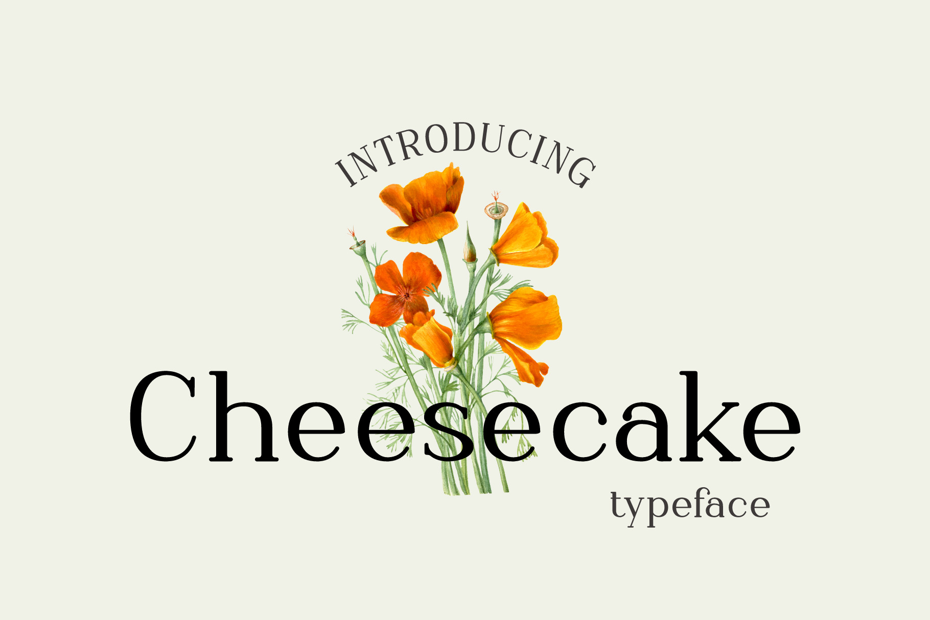 Cheesecake - Organic Serif Typeface, a Serif Font by HipFonts