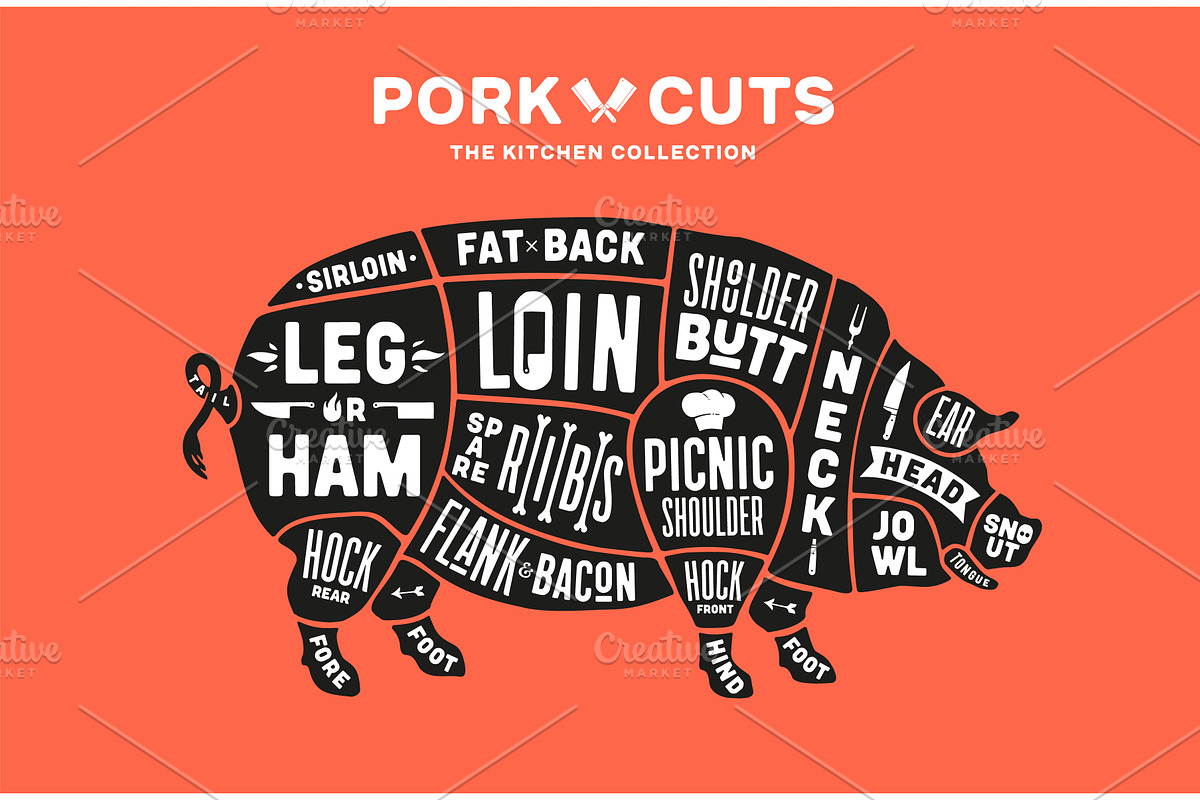 Pork, pig. Scheme, diagram, chart, an Animal Illustration by Foxys Graphic