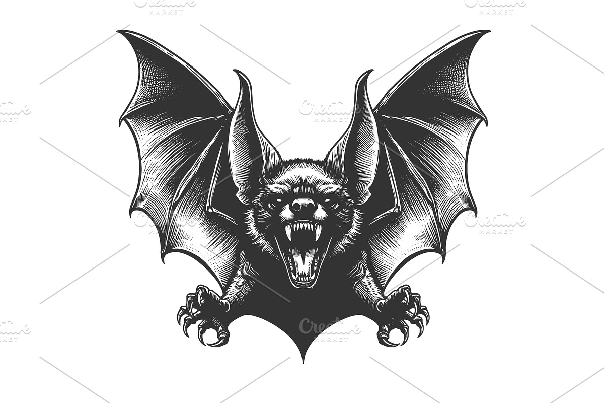 Fierce Vampire Bat Spread Wings, an Animal Illustration by AlexArt ...