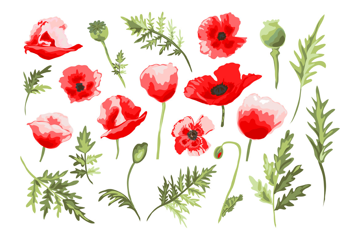 Red Poppy Floral Clip Art, a Decorative Illustration by Sunset&Sea Design